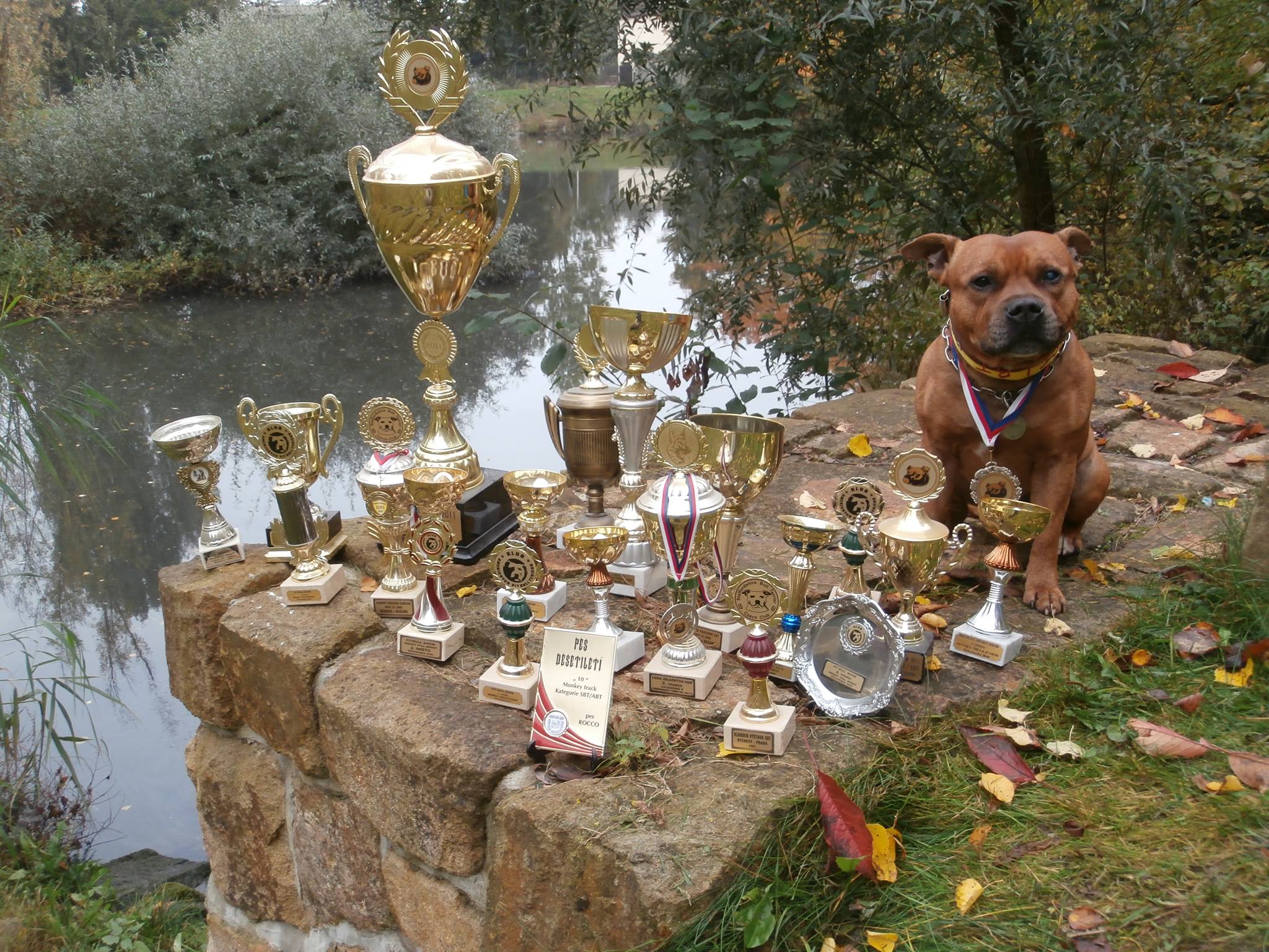 O MNĚ – Trenér psů